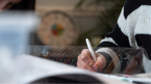 Our Curriculum - New - Hampton Bridge School